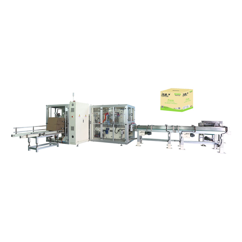 OK-102 Type Full-Auto Case Packer factory and manufacturers | OK